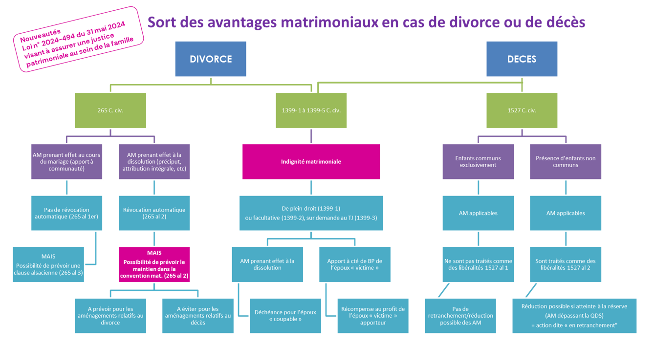 Loi du 31 mai 2024 : des nouveautés marquantes pour le droit des ...